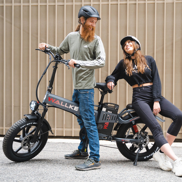 Fat Tire Electric Bike | Best Online E-Bike Shop | Wallke Ebike – EU-WALLKE