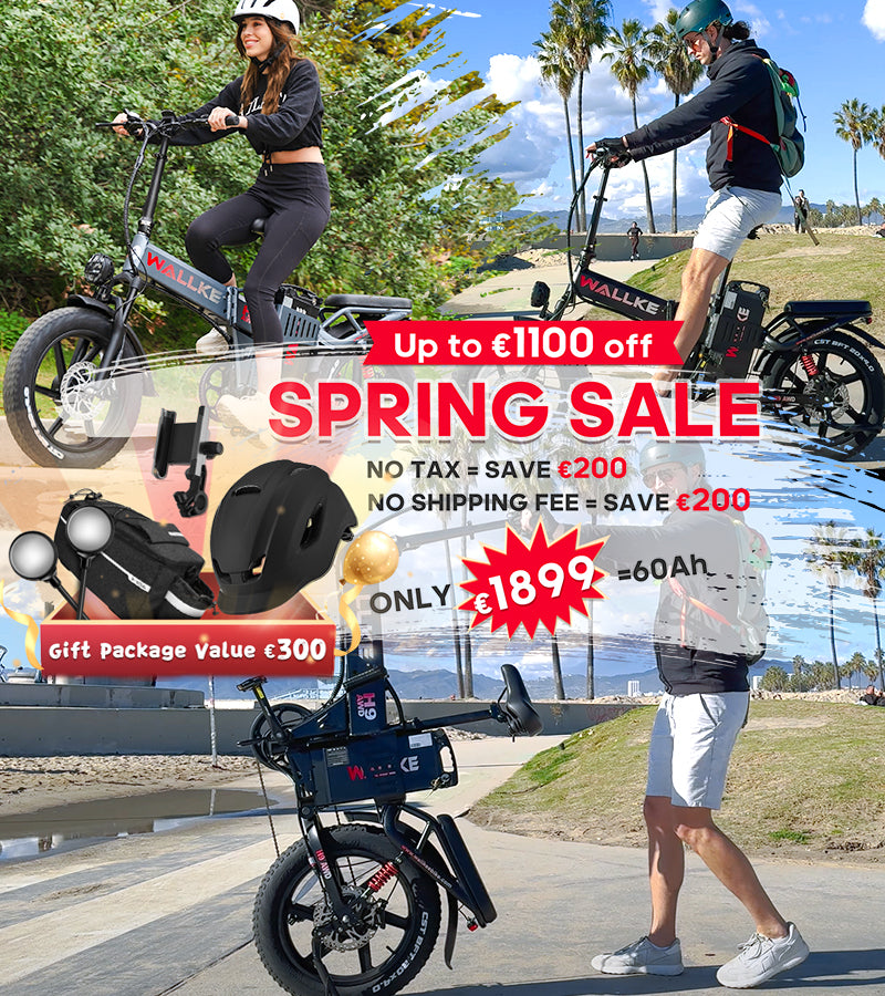 Fat Tire Electric Bike | Best Online E-Bike Shop | Wallke Ebike – EU-WALLKE